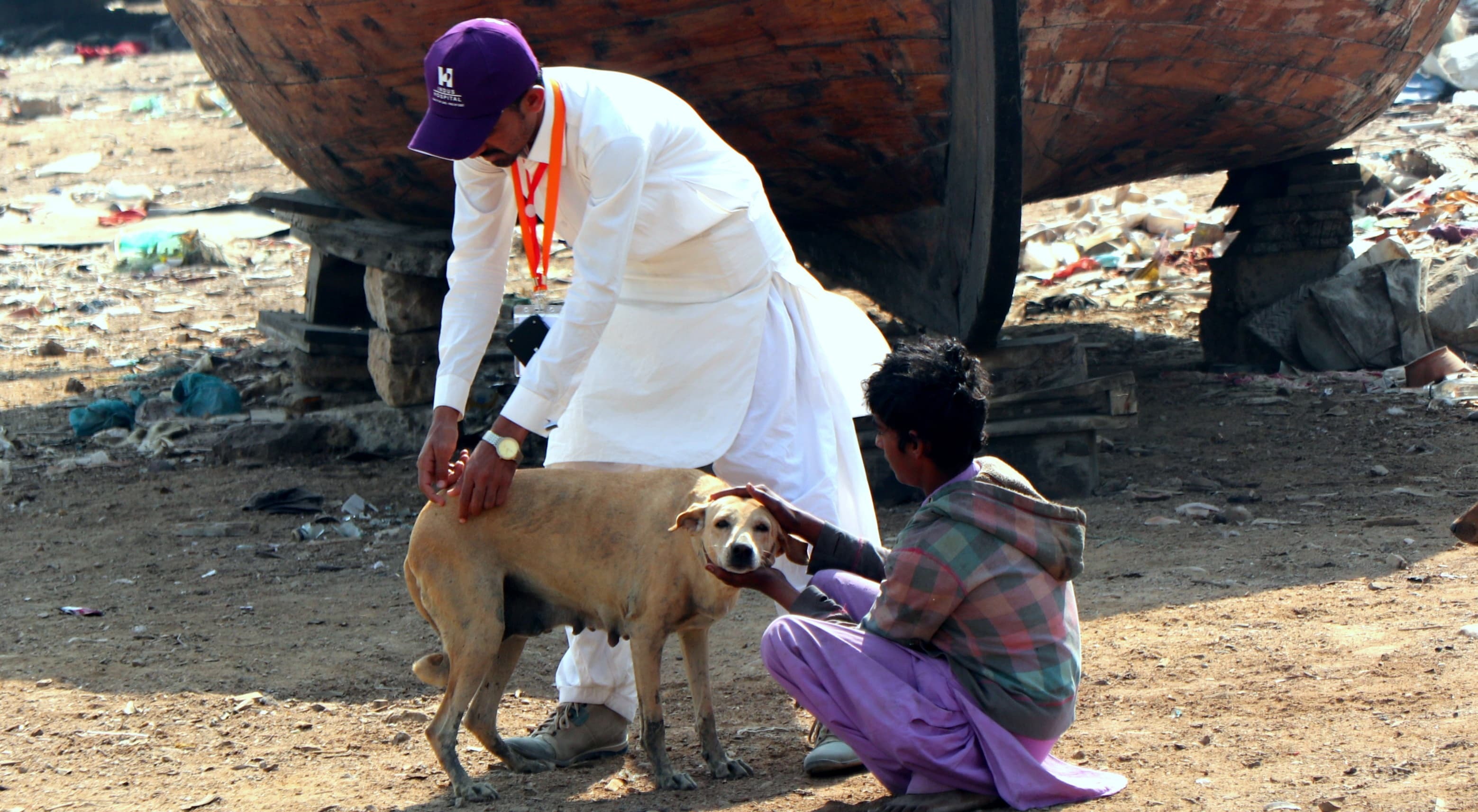 Rabies remains a deadly, neglected health crisis in Pakistan